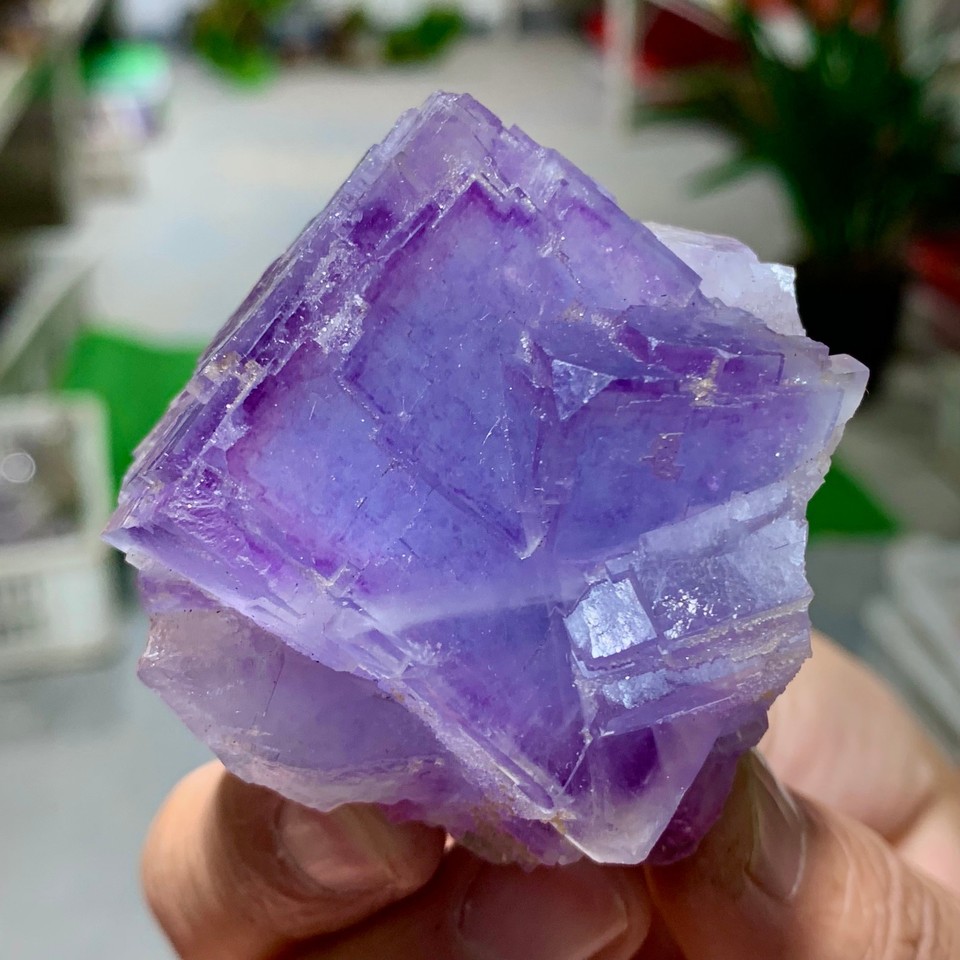 109G Rare transparent purple green cubic fluorite mineral crystal ...