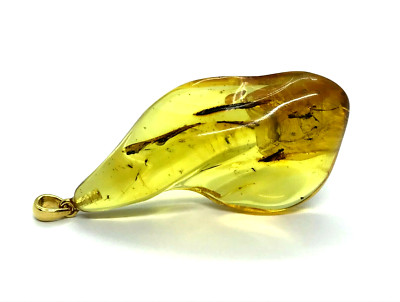 Amber Pendant 6 Insects Fossil Insect Inclusion Silver 925 Gold Plated ...