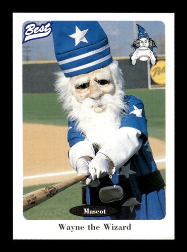 1996 Best Fort Wayne Wizards Wayne The Wizard Mascot BXCP10 | eBay