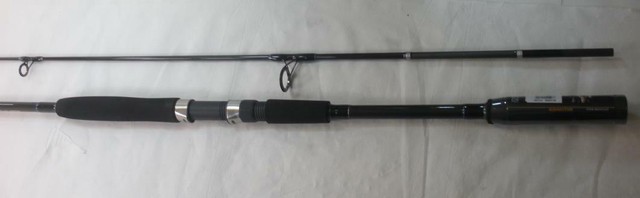 Beach Runner 9' 2pc Medium Surf Spinning Rod BR1230S90 for sale online ...