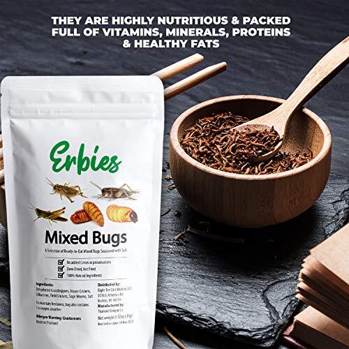 Erbies Edible Bugs Mixed Trail Mix, 15G Bag, Seasoned and Crunchy ...
