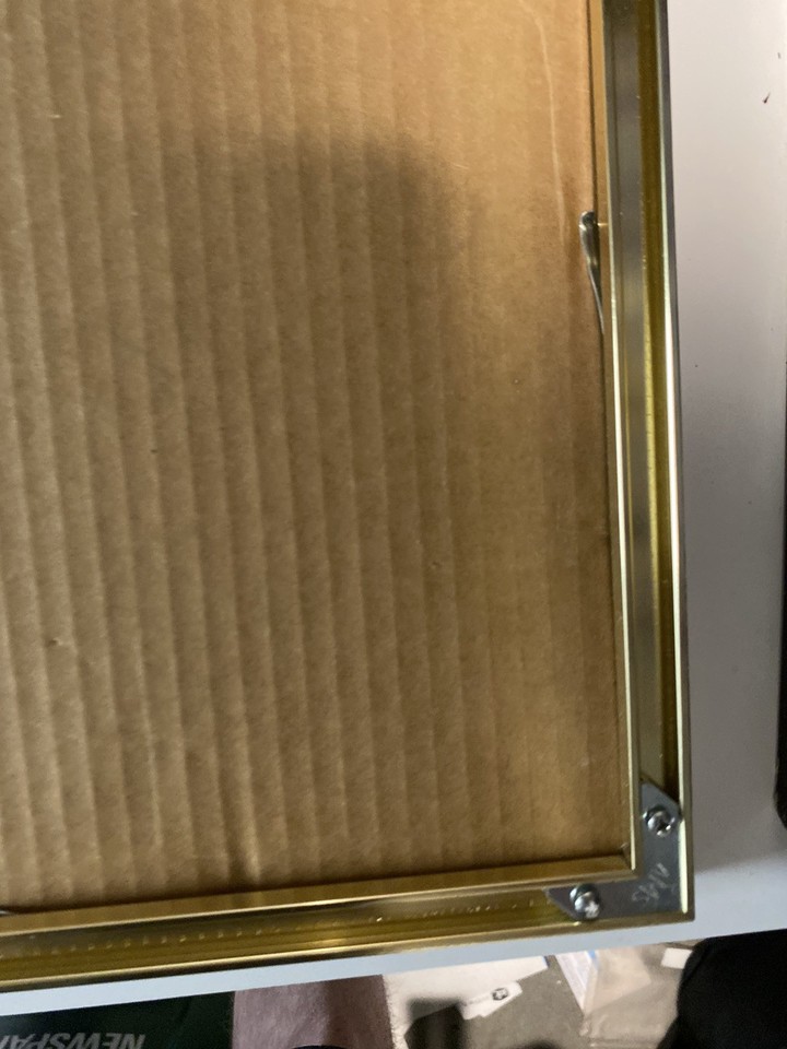 1992 USA Olympic Dream Team “Shooting for Gold” Bart Forbes Framed ...