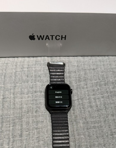 Apple Series 5 Edition 44mm Black Titanium Smartwatch - GPS & CELLULAR ...