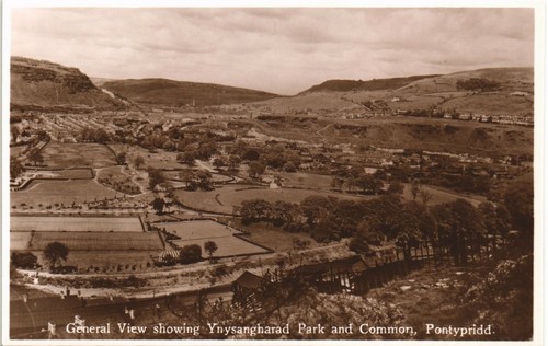 Pontypridd. General View Showing Ynysangharad Park & Common by Cole ...