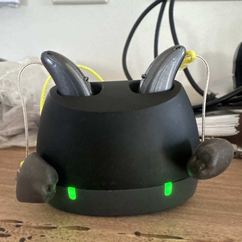 Signia HA Pure C&G T 3AX GPH for both ears -RECHARGEABLE | eBay