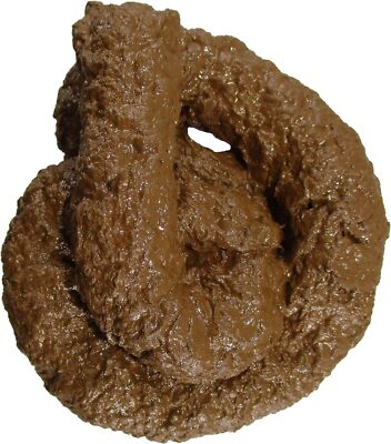 PREMIUM Fake Dog Poop Doggie Poo Realistic Doggy Doo Doo Dirt Joke Gag ...