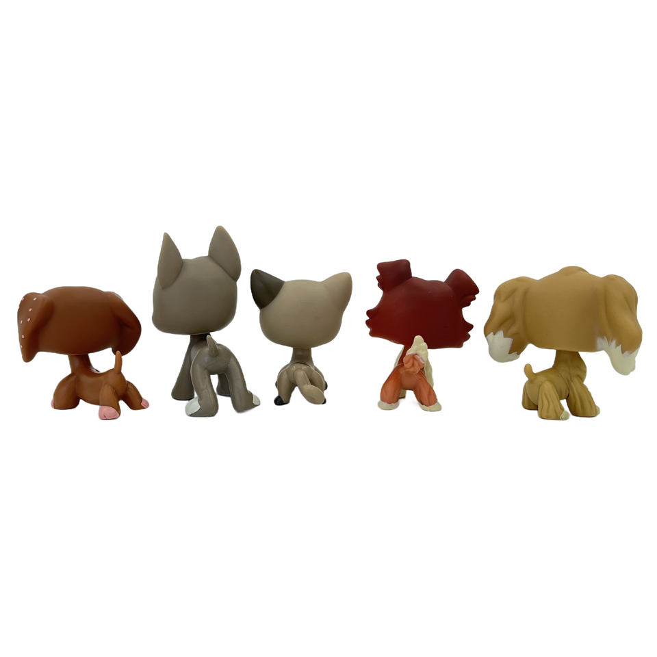 5pcs/lot Littlest pet shop dogs and short hair cat #556 #184 #468 #1542 ...