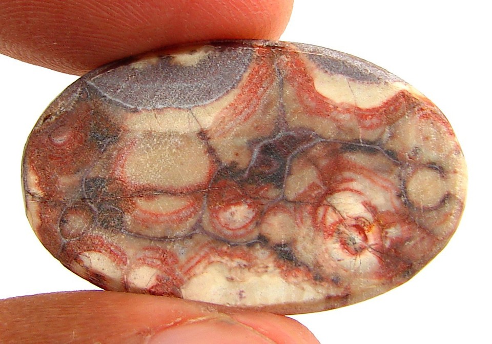 26.70 Ct Natural Bird Eye Jasper Loose Gemstone Cabochon Wire Wrap ...