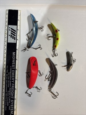 Assorted Flatfish Lot | eBay