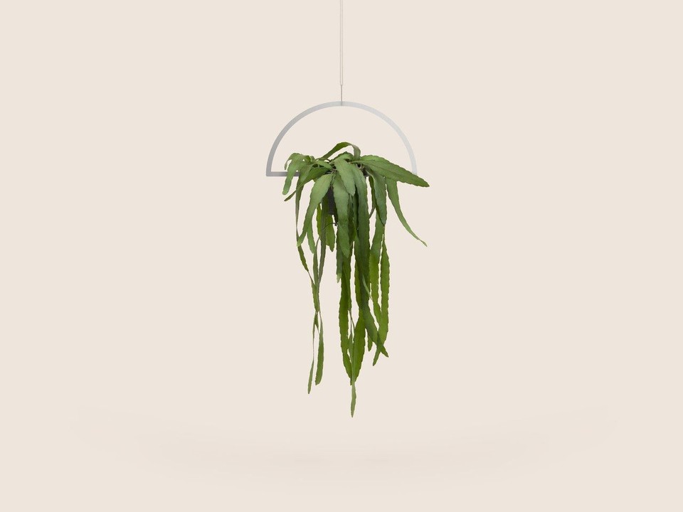 Semi-circle Plant Hanger Holder Modern Hanging Mobile Silver | eBay