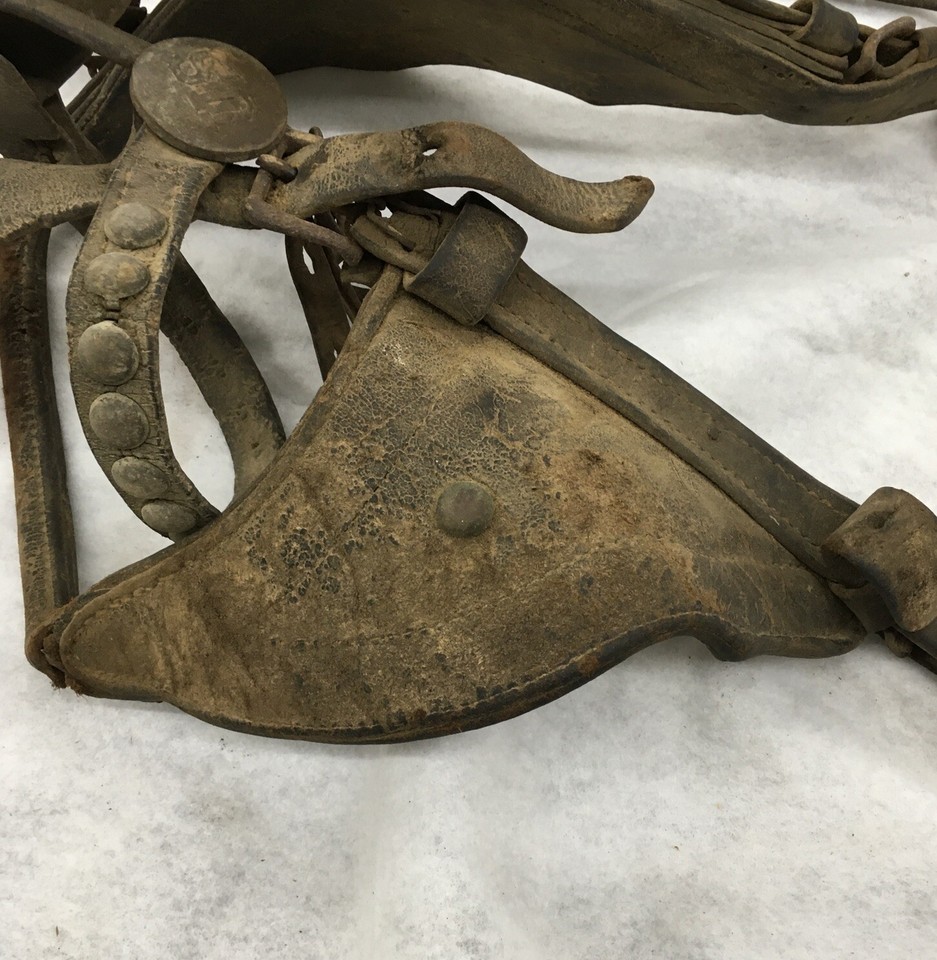 U.S. Cavalry Civil War Horse/Mule Blinders Bridle | eBay
