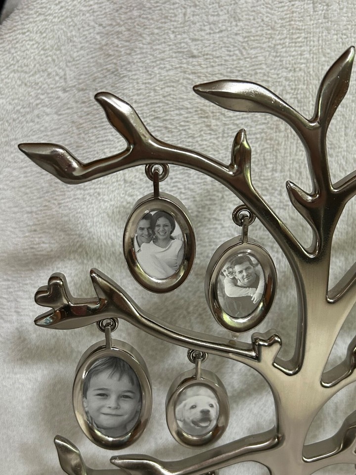 Papyrus Family Tree Silver Metallic Picture Frame 12”, 12 Photos | eBay
