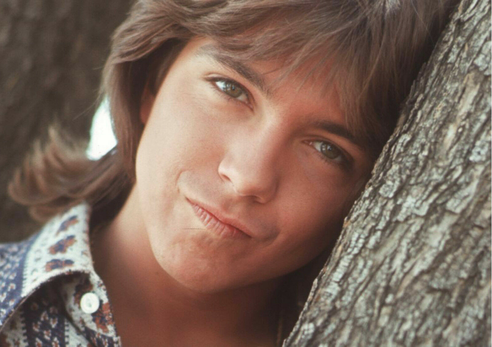 David Cassidy Young