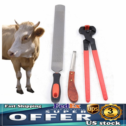 3-in-1 Horse Hoof Trimming Farrier Tool Kit Horseshoe File Rasp Cutter ...