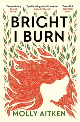 Bright I Burn by Molly Aitken Paperback Book | eBay