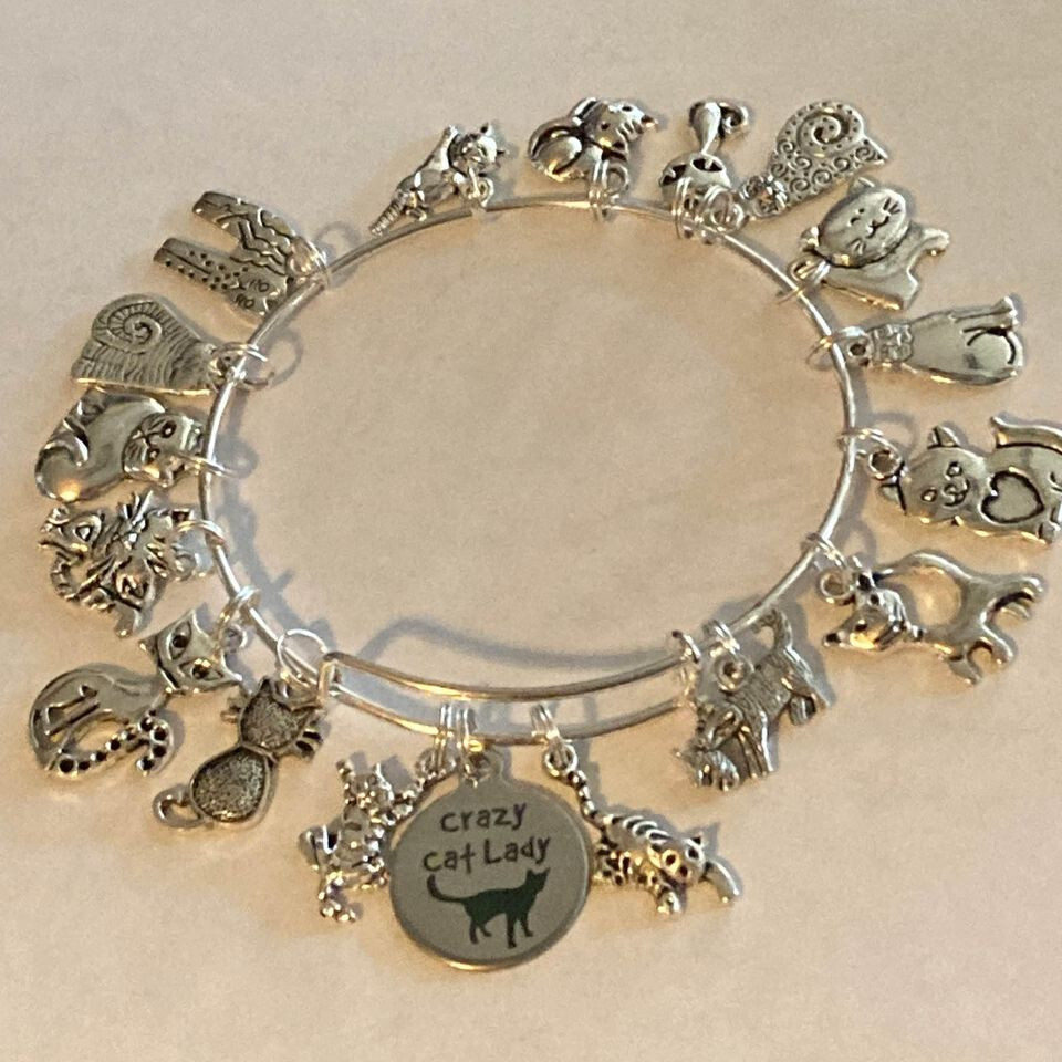 CRAZY CAT LADY Chram Bracelet 18 cat charms Love Cats Fun Gift ...