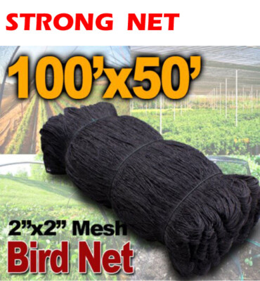 STRONG 50ft x 100ft Bird Netting Net Bird Poultry Avaiary Game Pens 2 ...
