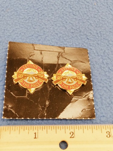 PAIR OF - US ARMY RESERVE 125th COMMAND Unit DI DUI Crest PINS - G-23 ...