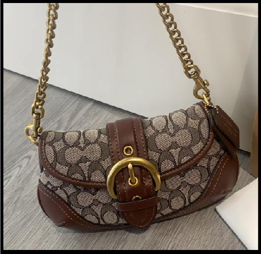 COACH CAN45 Soho Bag 25 In Signature Jacquard Oak Maple Brass Outlet ...