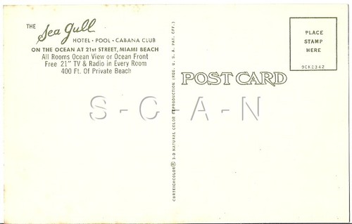 Org 1940s-60s Risque Pinup PC- Sea Gull Hotel Miami- Swimming Pool ...