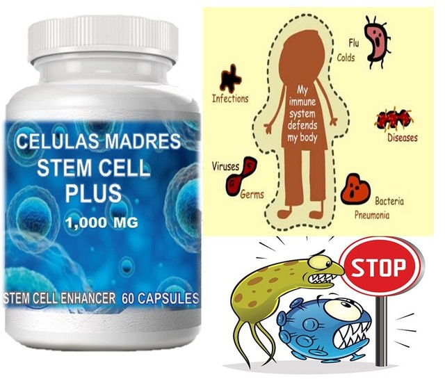 Miracle Celulas Madres Stem Cell Plus Supplement for Immune Support ...