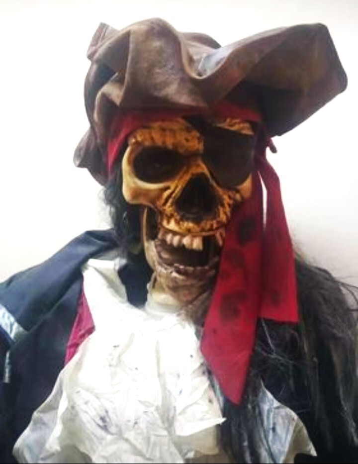Gemmy Dead Eye Drake Pirate Skeleton RARE Prop Halloween 6ft ...