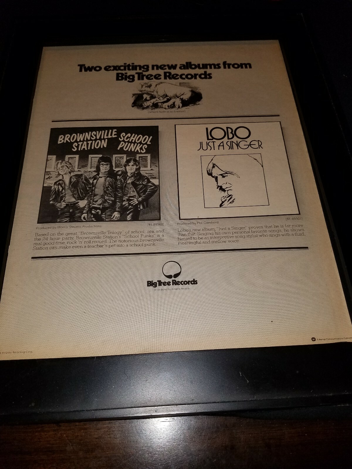 Brownsville Station/Lobo Big Tree Records Rare Original Promo Poster Ad ...