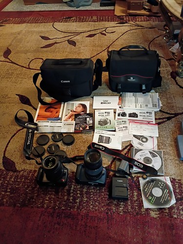 Huge Cannon Camera Lot | eBay