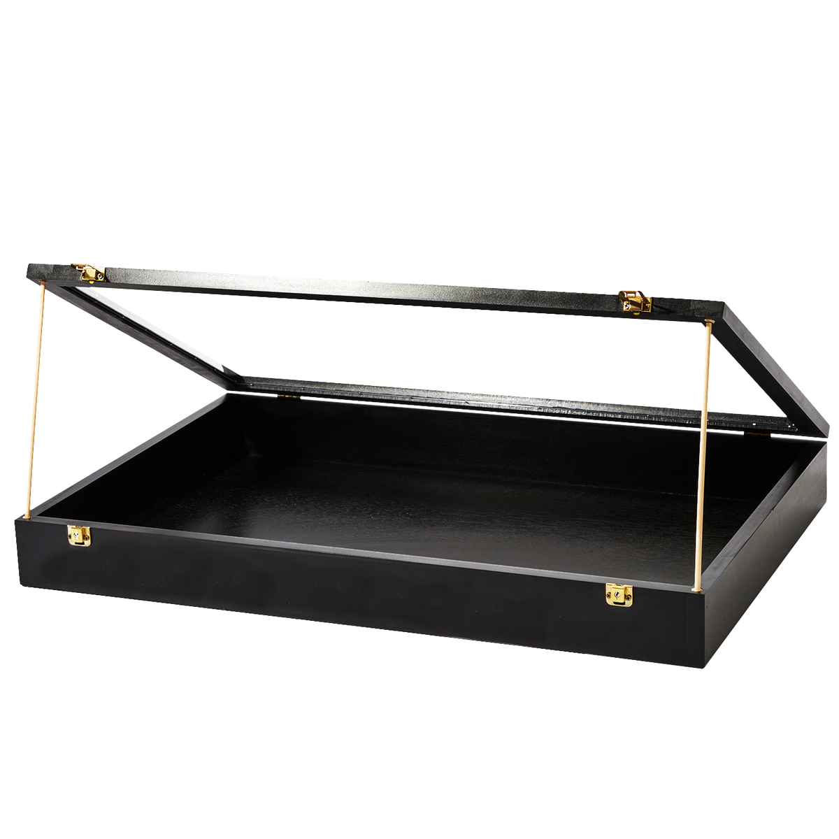Portable Merchandise Display Case