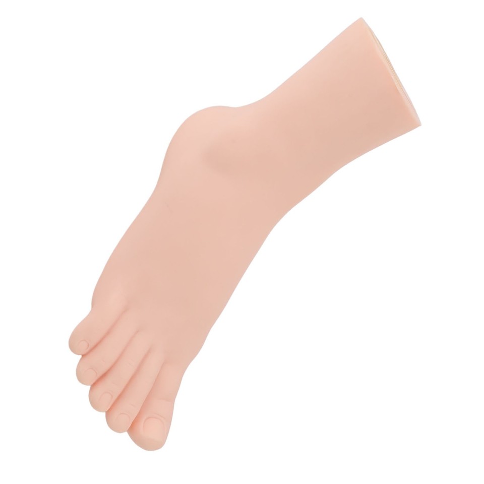 ·Female Right Foot Mannequin Simulated Feet Model Foot Model For Fo | eBay