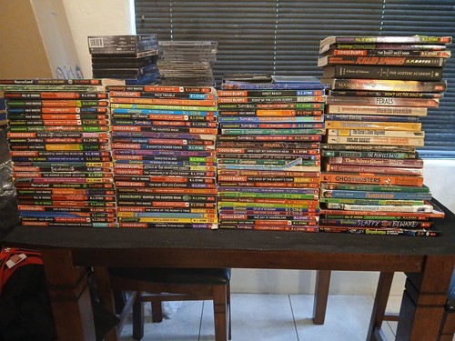 Lot 100 R.L. Stine Books Goosebumps, Fear Street, and More Scary Book ...