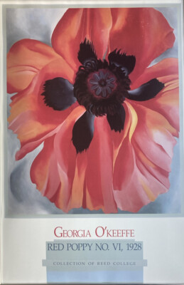 Red Poppy VI 1928 Georgia O'Keeffe Art Print Litho Poster OKL502 Reed ...