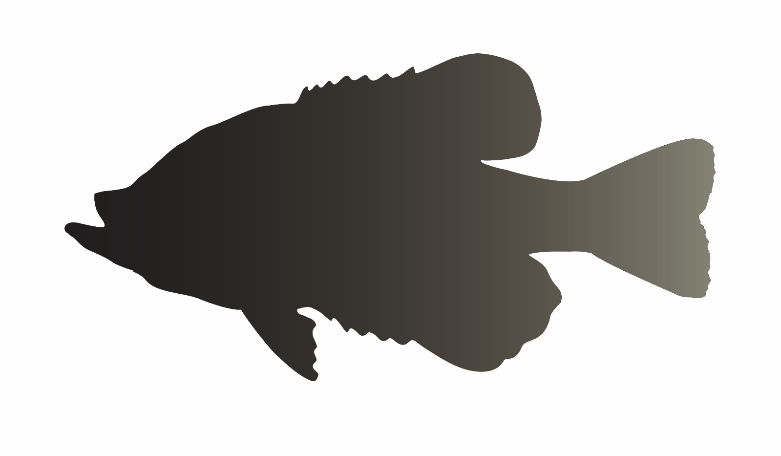 Crappie Panfish STENCIL Outdoor Summer Fish Wildlife Lake Pond DIY ...