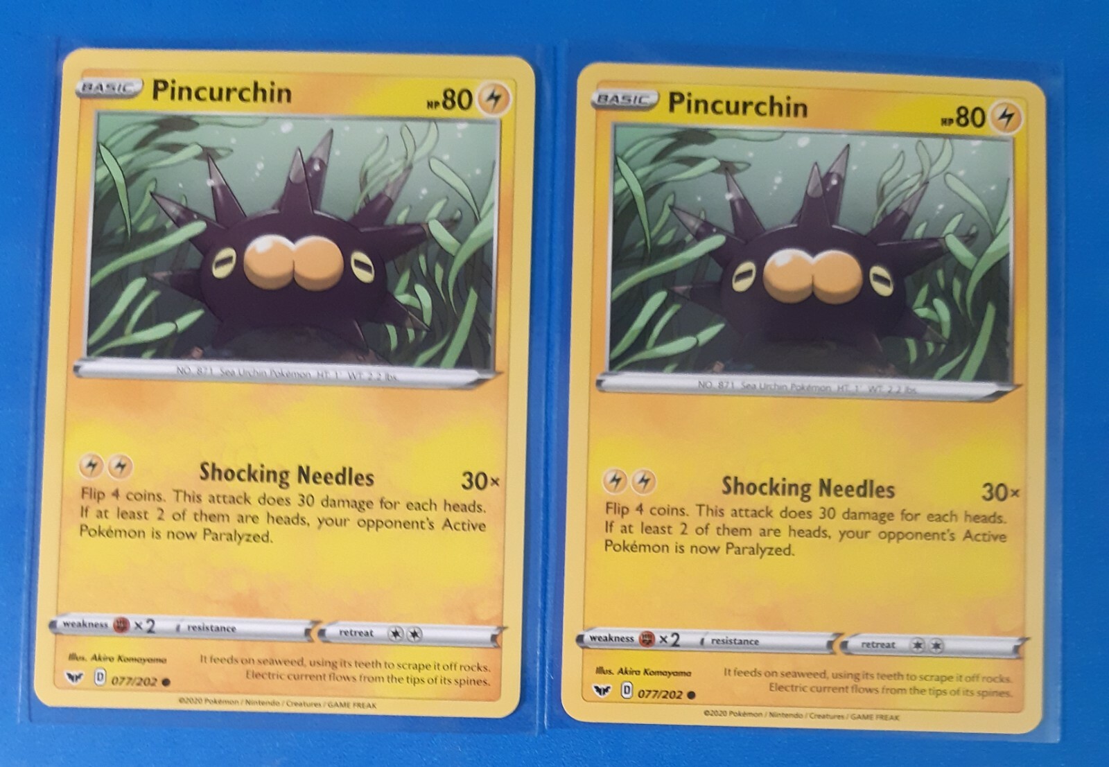 4x Pincurchin 077/202 77/202 Pokemon card Sword & Shield common NM | eBay