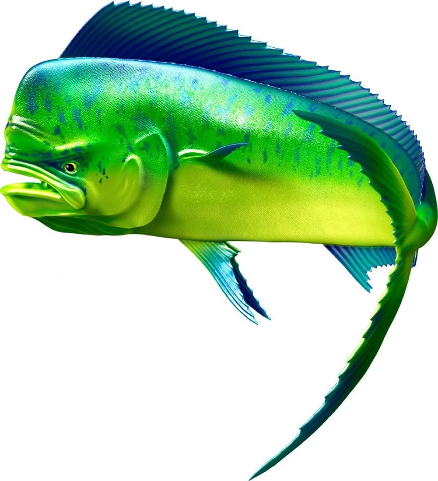Mahi Mahi Beautiful Vinyl Sticker Fish Decals for Boat Car Vehicle ...