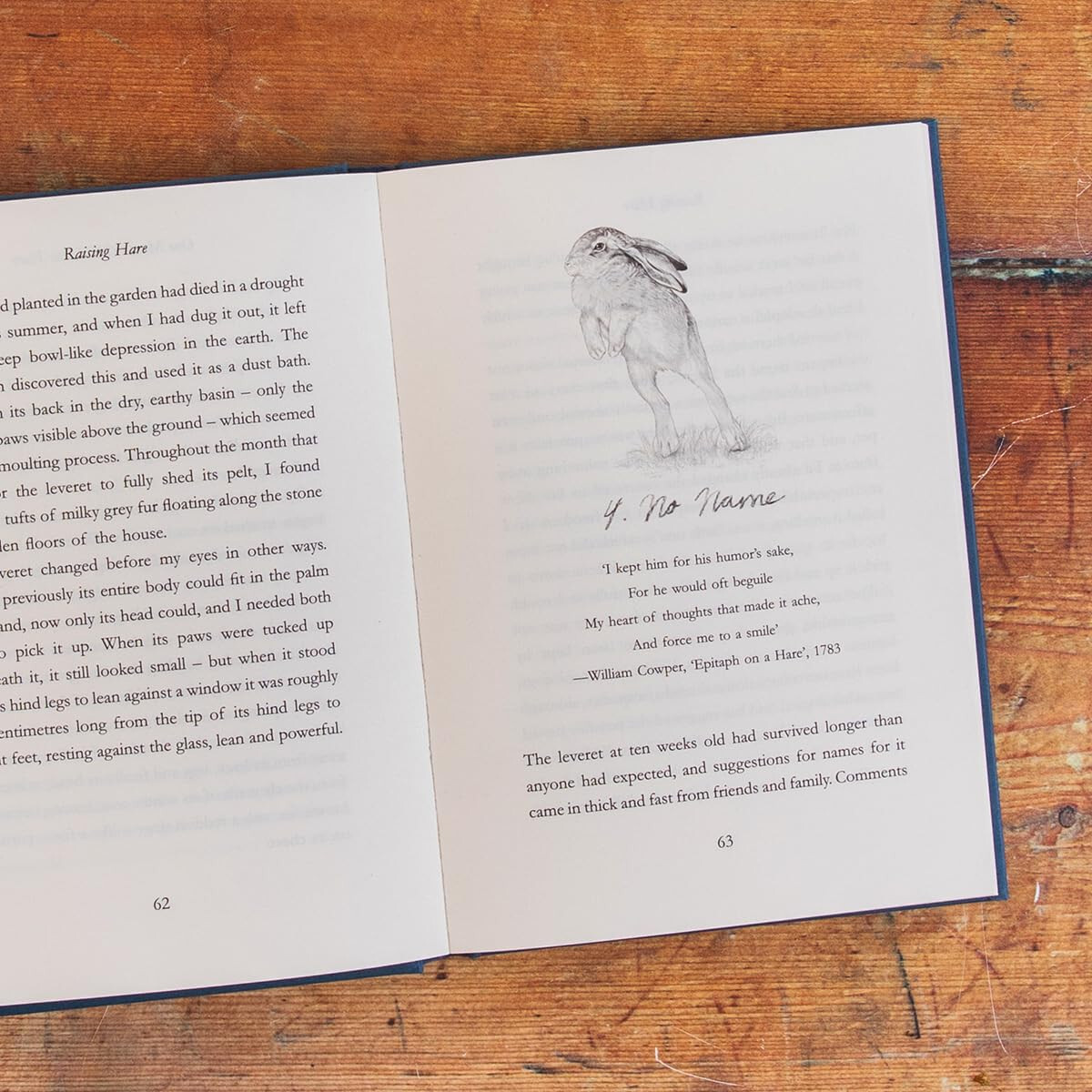 RAISING HARE Chloe Dalton PAPERBACK *BRAND NEW* | eBay UK