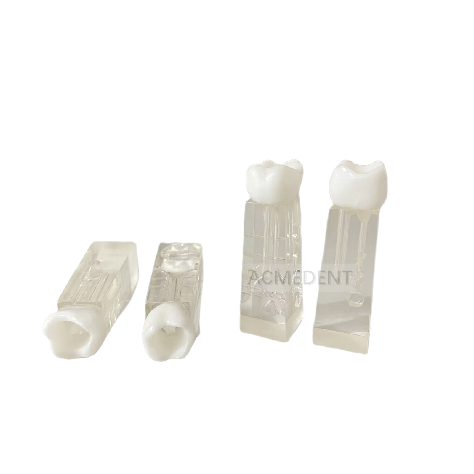 Dental Endo Files Molar Practise Blocks Combined Root Canal RCT Block 7 ...