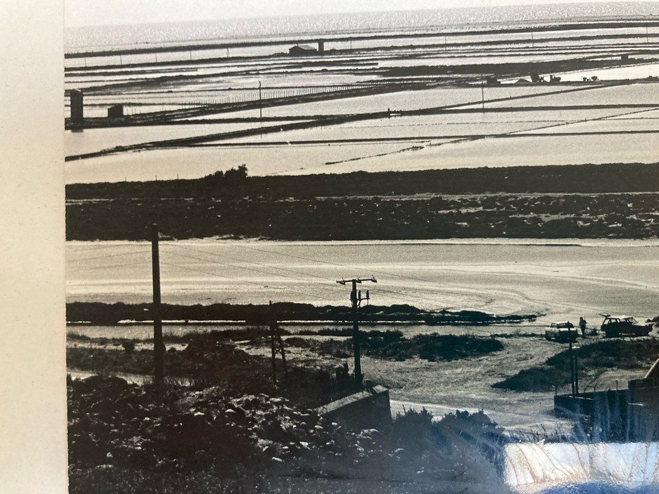 Large Analog Photo Louis Renoult Landscape Camargue Photography 1970 ...