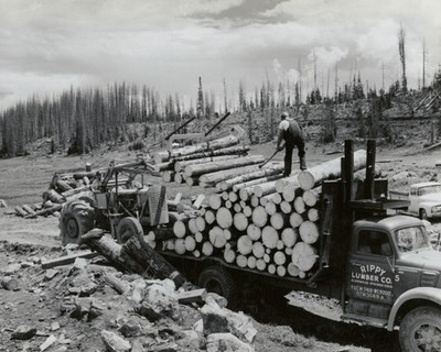 Loading Logs International 200 Truck White River Forest 1957 Colorado ...