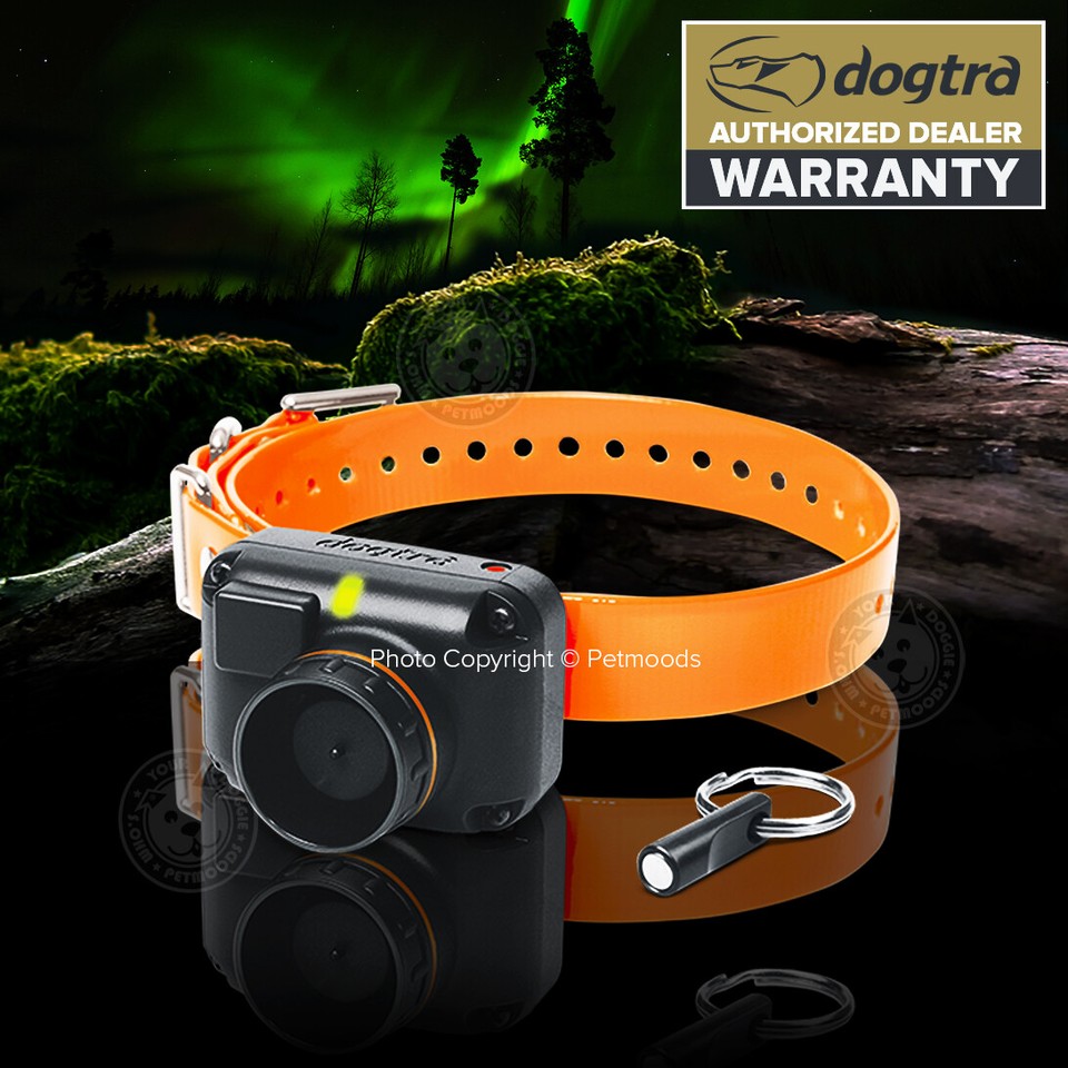 Dogtra STB Beeper Extra Collar HAWK Sound Version for Upland Hunting Gun Dog | eBay