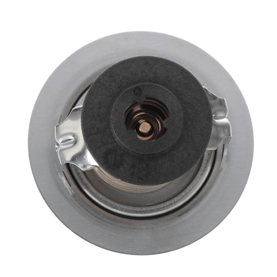 OEM NEW Ford Genuine Thermostat Assembly BL3Z-8575-B | eBay