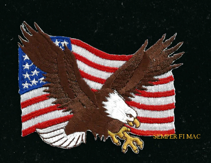 USA FLAG BALD EAGLE PATCH US ARMY MARINES NAVY AIR FORCE COAST GUARD PATRIOTIC | eBay
