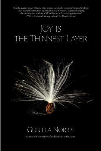 Joy Is the Thinnest Layer by Gunilla Norris (2016, Hardcover) for sale ...