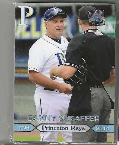 2014 PRINCETON RAYS TEAM SET COMPLETE R TAMPA BAY RAYS BRENT HONEYWELL ...