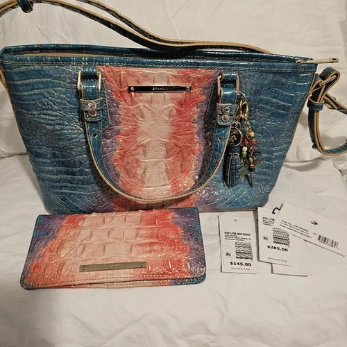 Brahmin Melbourne Mini Asher Sundew Ombre Bag And Wallet | eBay