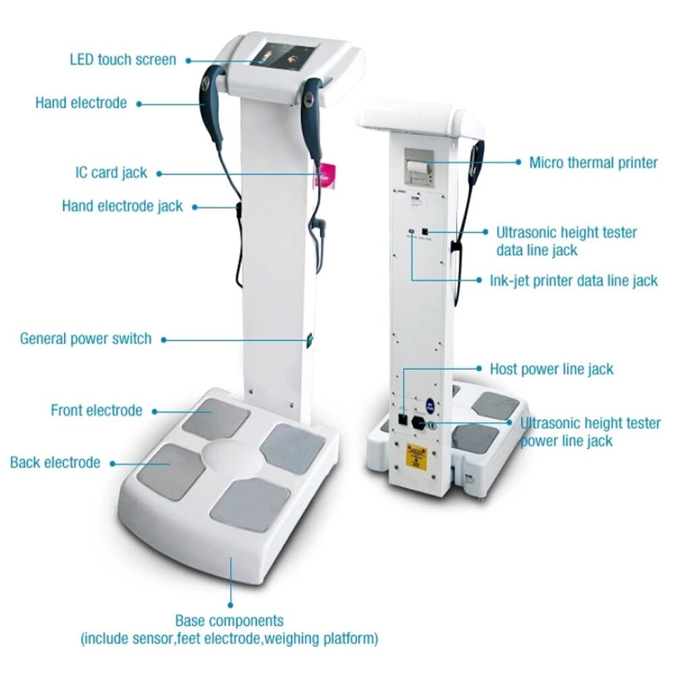 Professional Full Body Fat Analyzer Body Scanner Composition Analysis ...