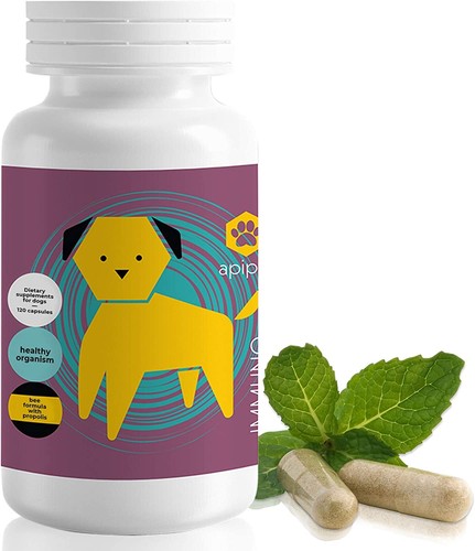 Immuno - Natural Immunity Booster for Dogs - Pet Supplement with ...