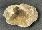 Calcite Crystals In Clam Shell Fossil - Florida | eBay