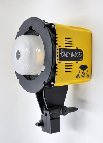 Used Interfit The Honey Badger 320 Digital Flash Head 5060516040247 | eBay