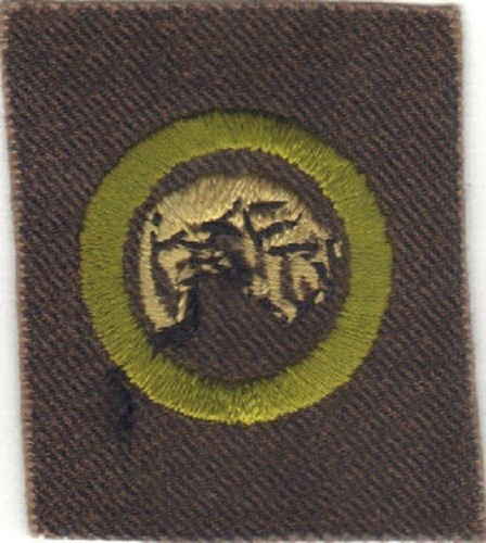 BOY SCOUT STALKING SQUARE MERIT BADGE (TYPE A) MINT | eBay